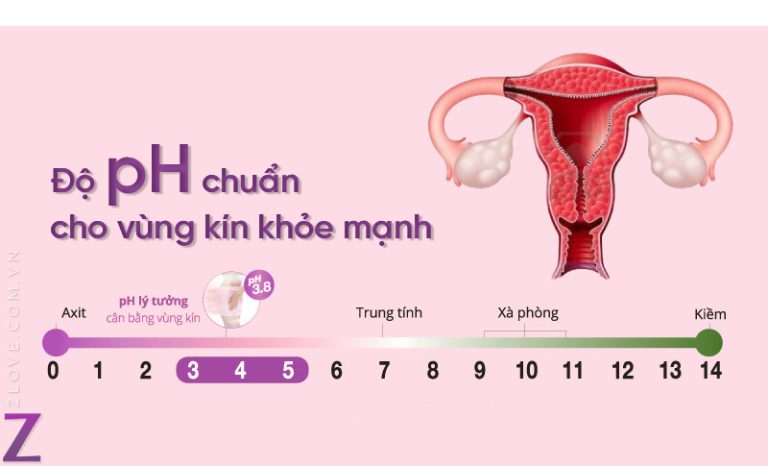 Độ pH vùng kín - Ăn không phải cách duy nhất giúp cân bằng độ pH vùng kín | Zlove